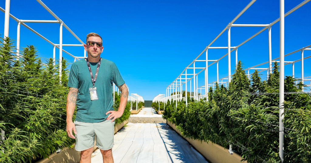 Family Tree of Utah Medical Cannabis: Tracing the Roots of Your ...